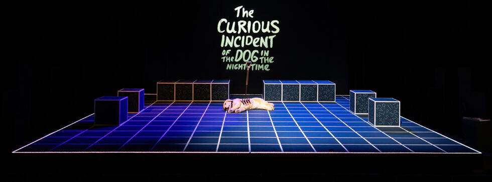 THE CURIOUS INCIDENT OF THE DOG IN THE NIGHT-TIME | Miller Theatre